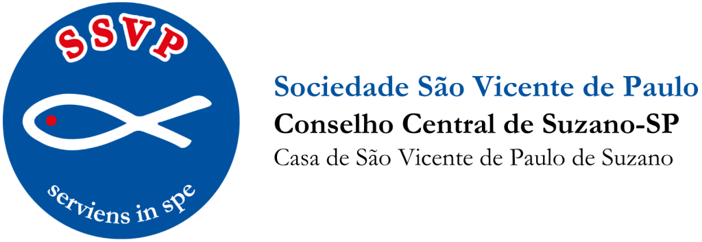 Relatório Mensal de Atividades – Casa de São Vicente de Paulo